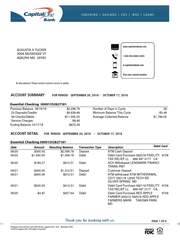Capital One Statement | PDF