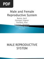 Human Reproduction Module 1 - Development and Function of Reproductive ...