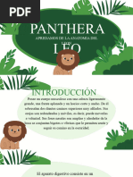 León. Anatomia y Fisiologia | PDF | Riñón | Artería
