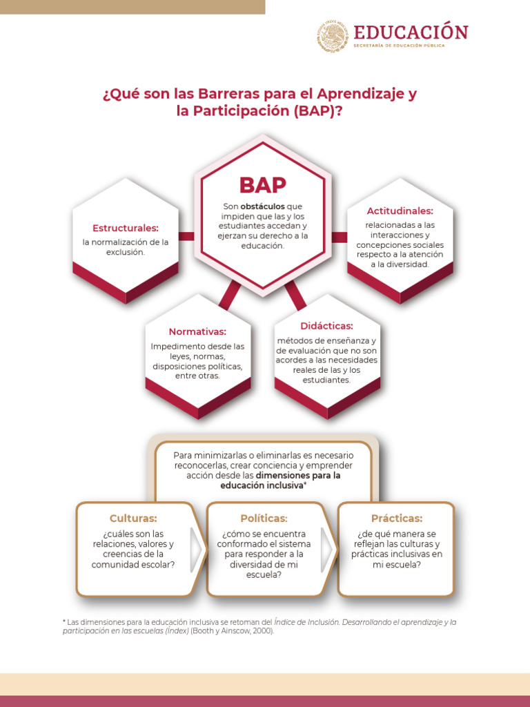 2324 s2 Infografia BAP | PDF