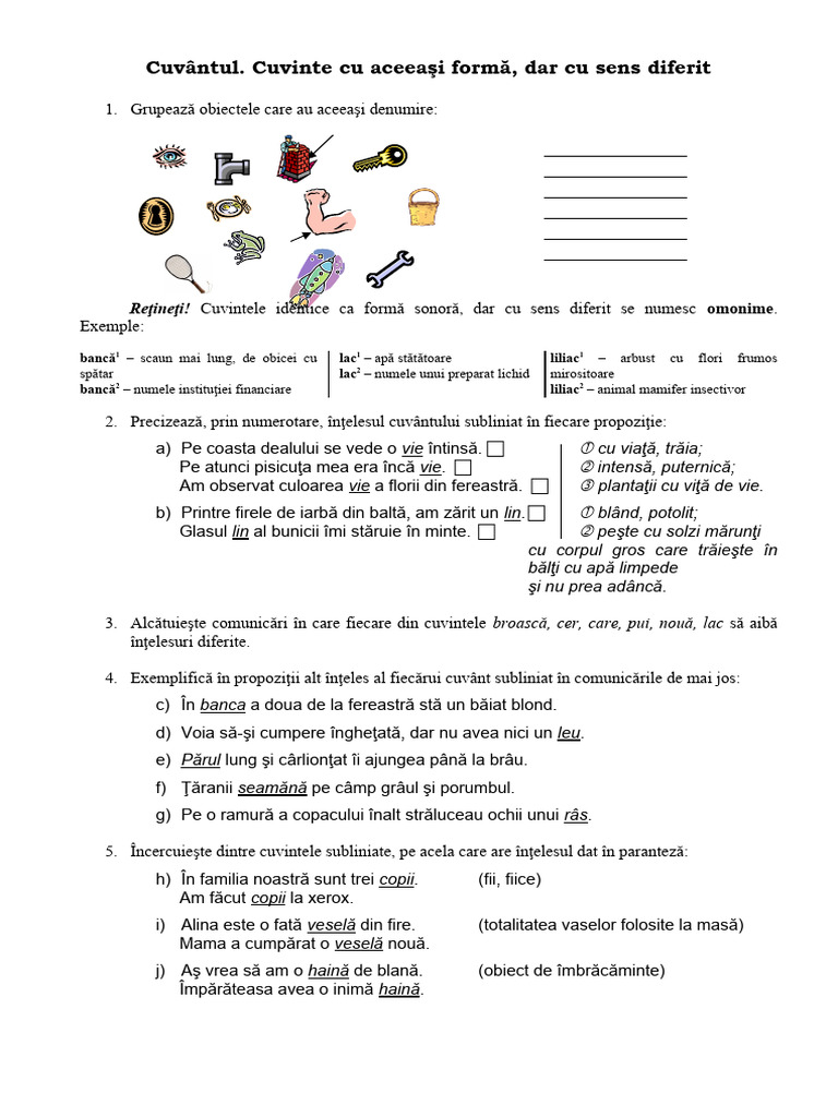 Cuvântul. Cuvinte Cu Aceeaşi Formă, Dar Cu Sens Diferit | PDF