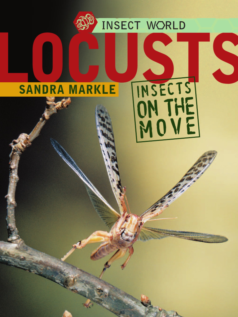 Locusts | PDF
