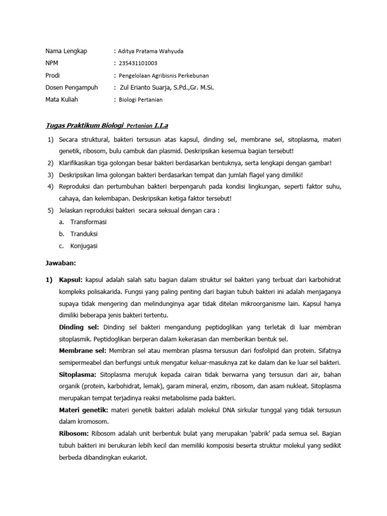 Struktur dan Reproduksi Bakteri | PDF | Sains & Matematika