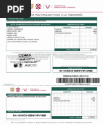 FORMATO V1J | PDF | Vehículos | Transporte