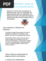O 5º S Dos 5S S - Senso de Disciplina - Shitsuke | PDF | Cultura ...