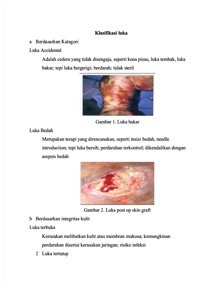 PDF Klasifikasi Luka - Compress | PDF