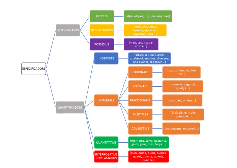 Esquema Catala Determinants | PDF