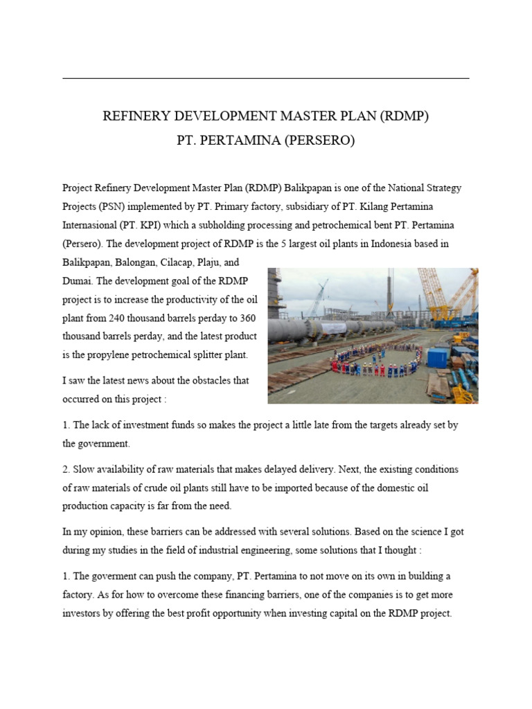 RDMP Analysist Personal | PDF