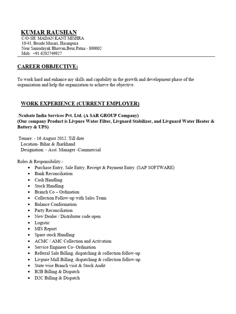 Kumar Raushan Resume | PDF