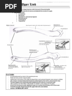 Upper Limb Bones Labeling Guide | PDF | Musculoskeletal System | Human ...