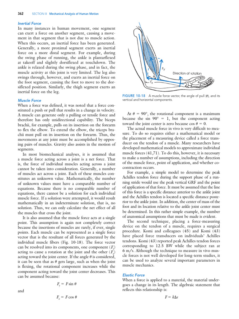 Joseph Hamill Biomechanical Basis of Human Movement 376 400 | PDF