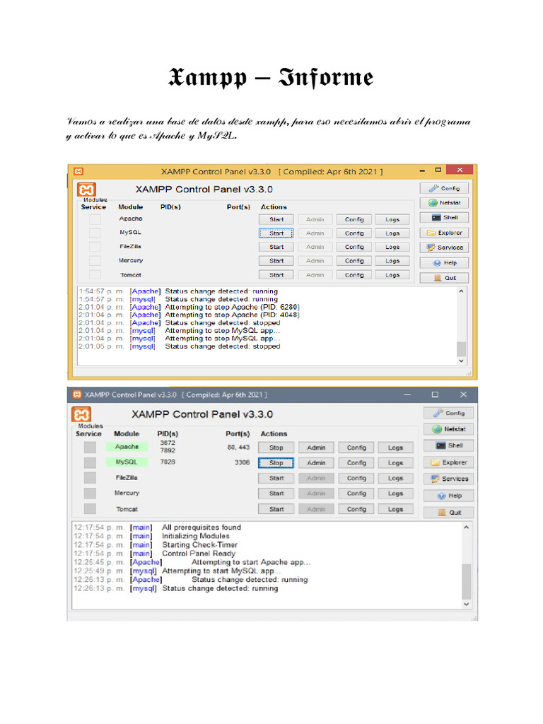 Individual Bases de Datos en Xampp - Informe | PDF