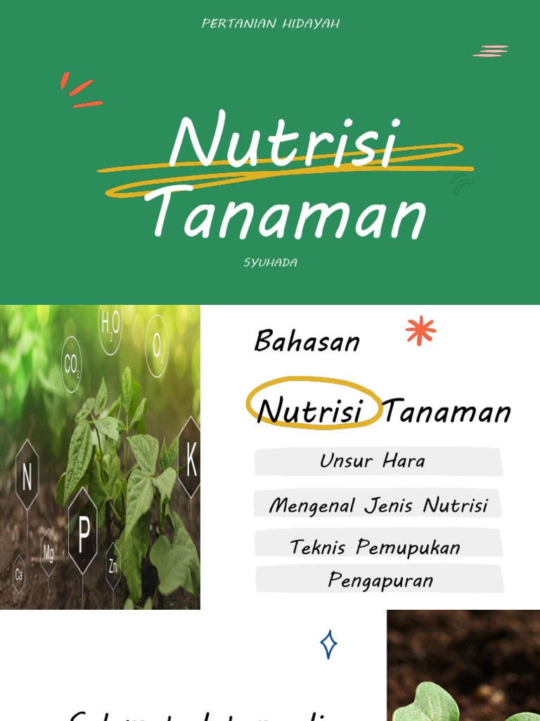 Nutrisi Tanaman | PDF