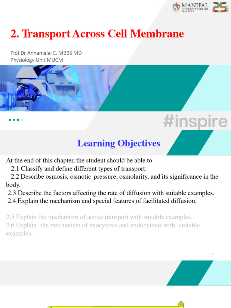 2B. Transport Across Cell Membrane | PDF