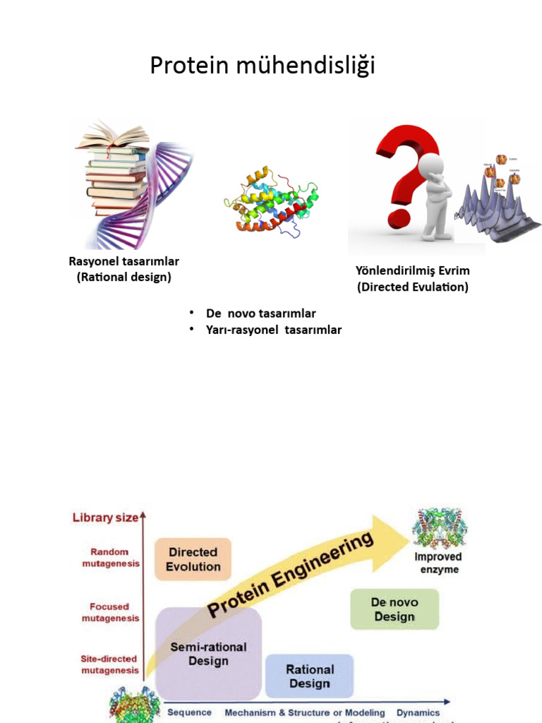 Protein Engineering Pdf