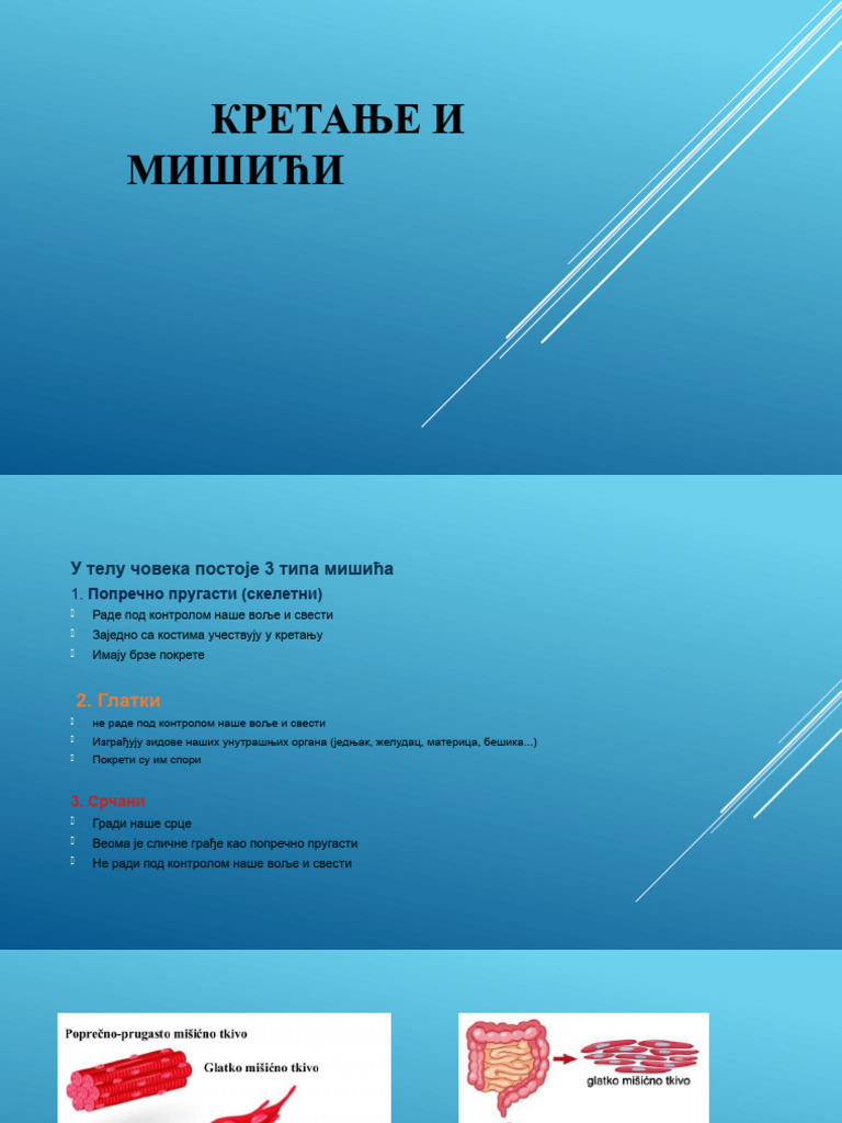 КРЕТАЊЕ И МИШИЋИ Pdf