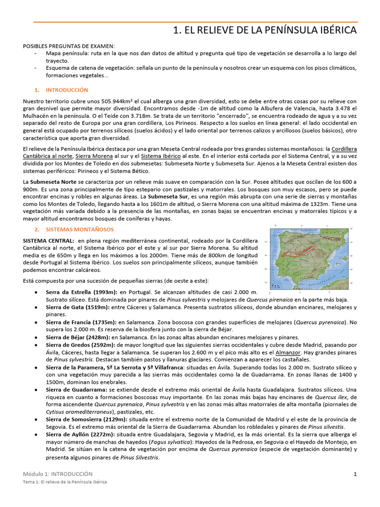Tema 1 El Relieve de La Península Ibérica | PDF | Islas Canarias | Zona litoral