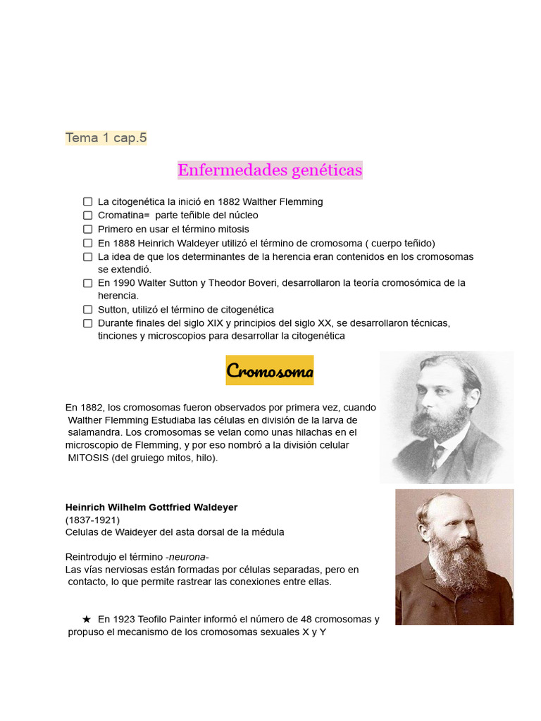 Pato Segunda Unidad | PDF