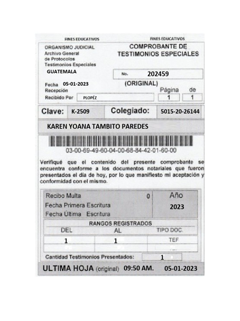 Comprobantes de Testimonios Especiales Karen | PDF