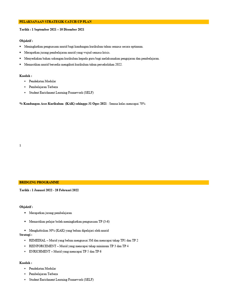 Catch Up Plan MEI | PDF