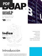 LOGOS-DE-LA-UNACHI-aprobados-CGU 7-2021-2 | PDF | Color | Creatividad