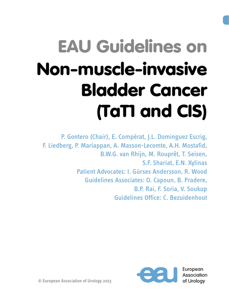 EAU Guidelines On Non Muscle Invasive Bladder Cancer 2023 - 2023 03 10 ...