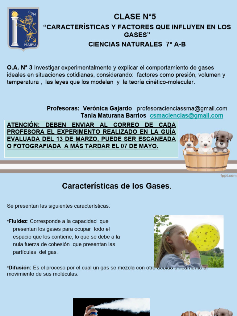 Clase 6 | PDF | Gases | Presión