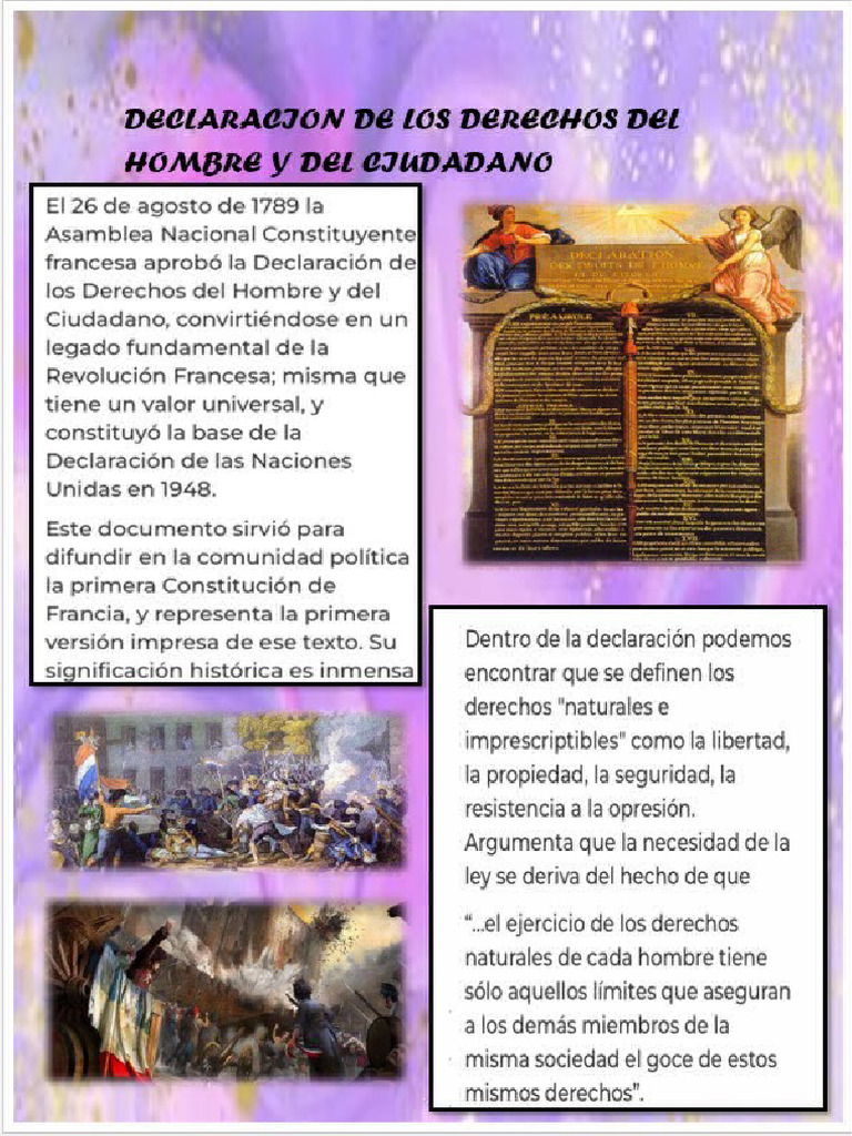 Declaracion de Los Derechos Del Hombre y Del Ciudadano | PDF
