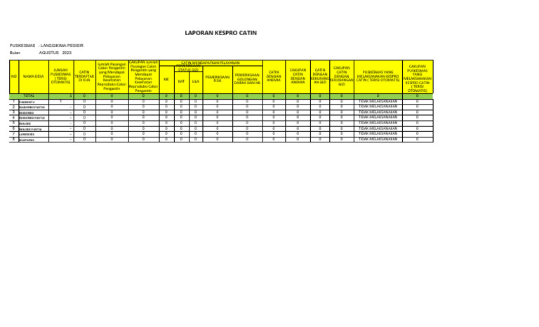 Format Laporan Terbaru Kespro Catin | PDF