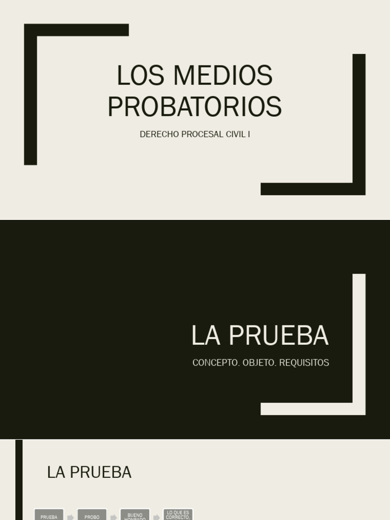 Los Medios Probatorios | PDF
