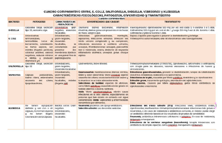 Cuadro Comparativo Bacterias Pdf