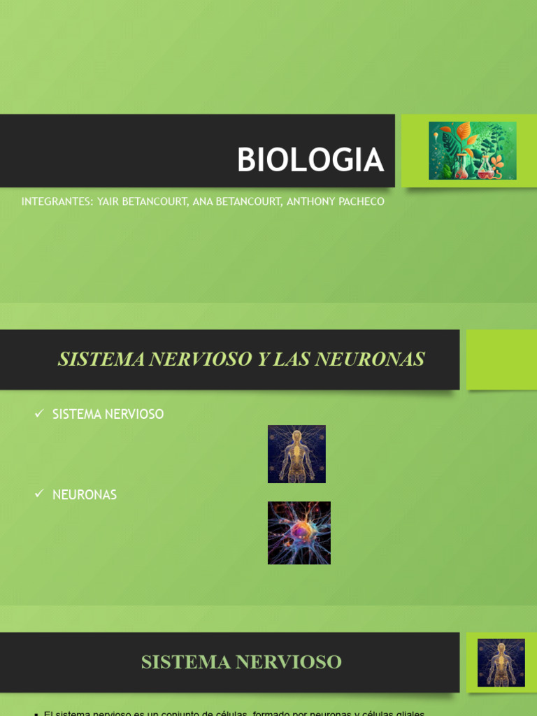 Biologia XDDD | PDF