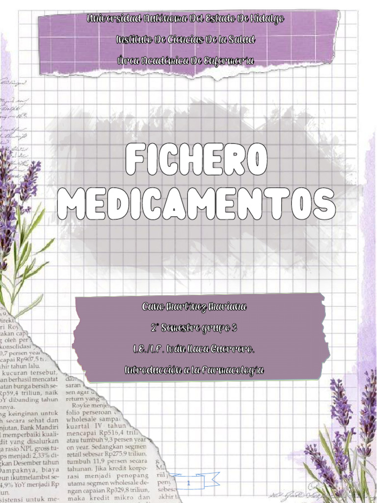 Fichero de Medicamentos | PDF
