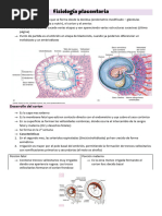Cotiledones en la placenta y su función | PDF | Placenta | Parto