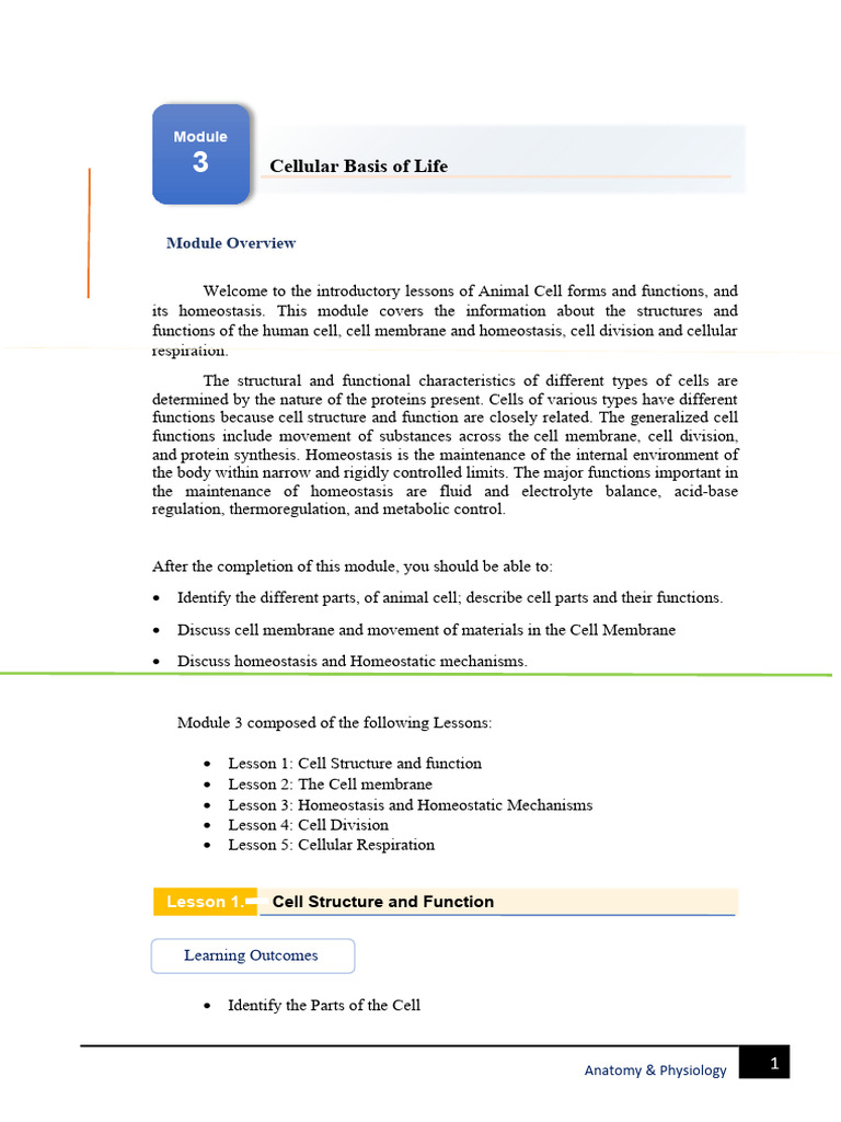 Cellular Basis of Life Module | PDF
