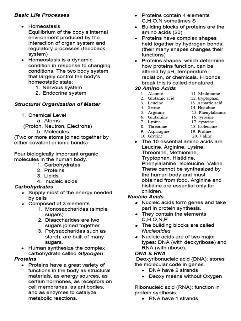 Basic Life Processes | PDF
