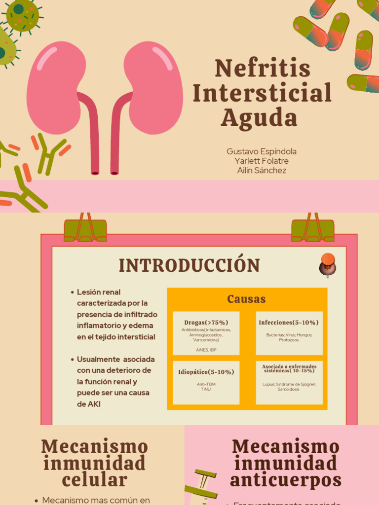 Nefritis Intersticial Aguda: Causas y Mecanismos | PDF