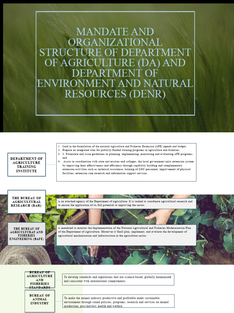 DA Organizational Structure and Mandate | PDF
