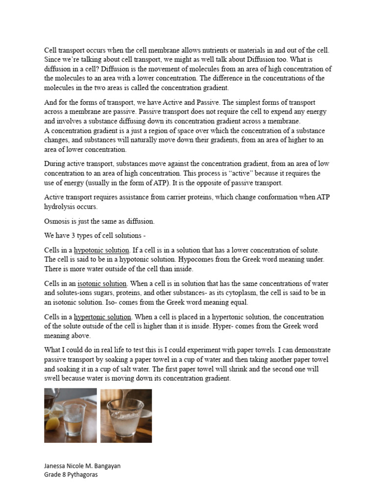 Cell Transport: Diffusion and Osmosis | PDF