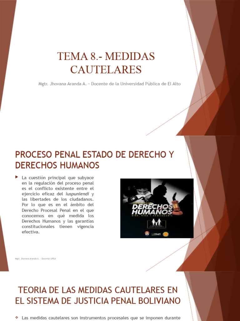 Tema 8 Medidas Cautelares | PDF