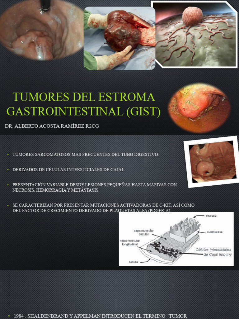 GIST | PDF