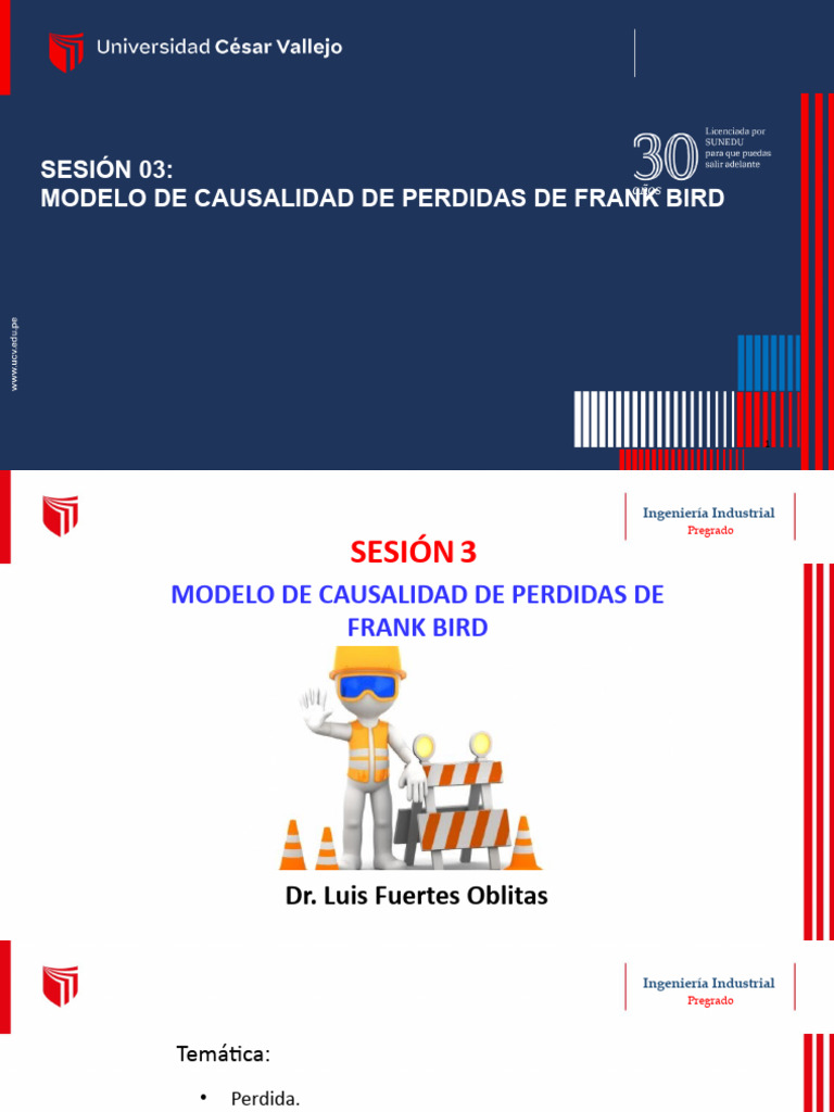 Sesión 3 Modelo de Causalidad de Perdidas de Frank Bird | PDF Sesión 3 Modelo de Causalidad de Perdidas de Frank Bird | PDF