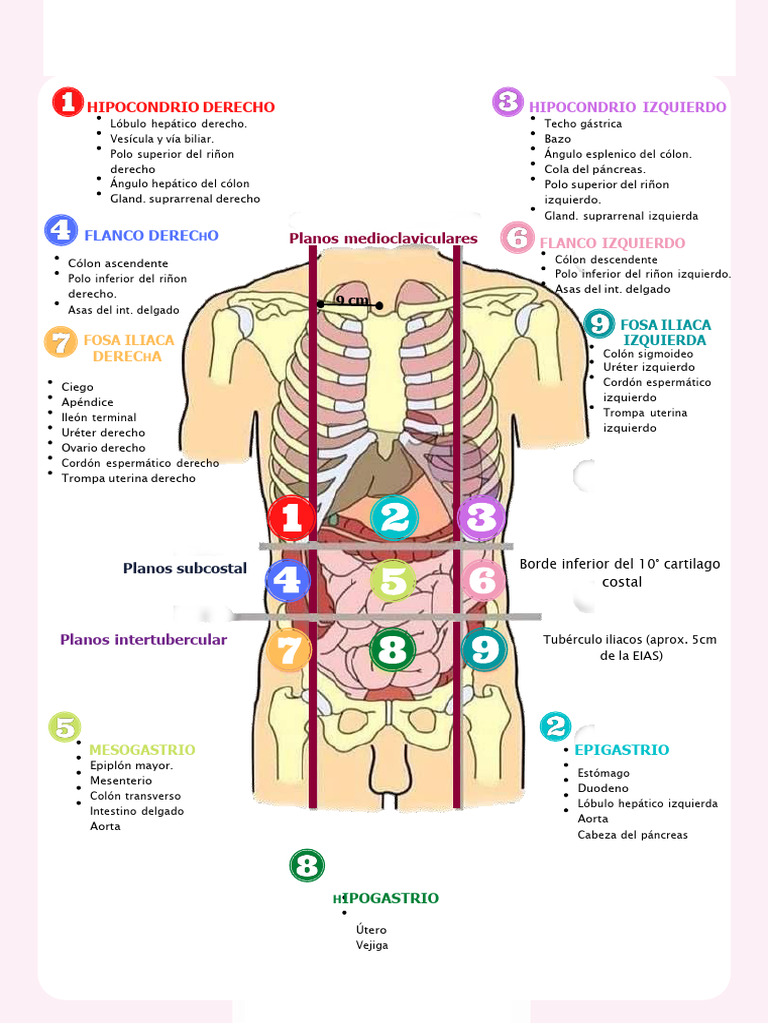 Cuadrantes Abdominales | PDF