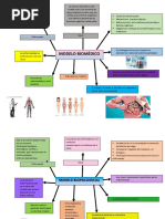 Modelo Biomédico | PDF