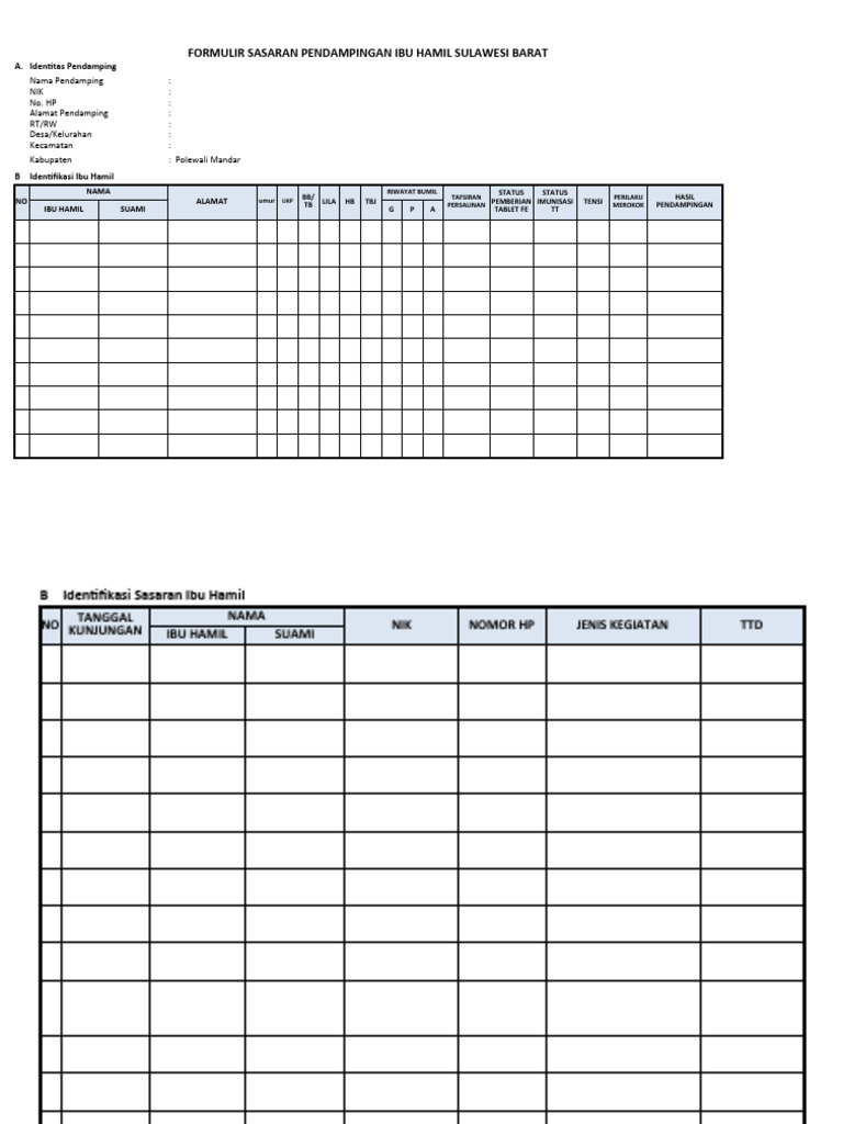 Revisi Form Ibu Hamil | PDF