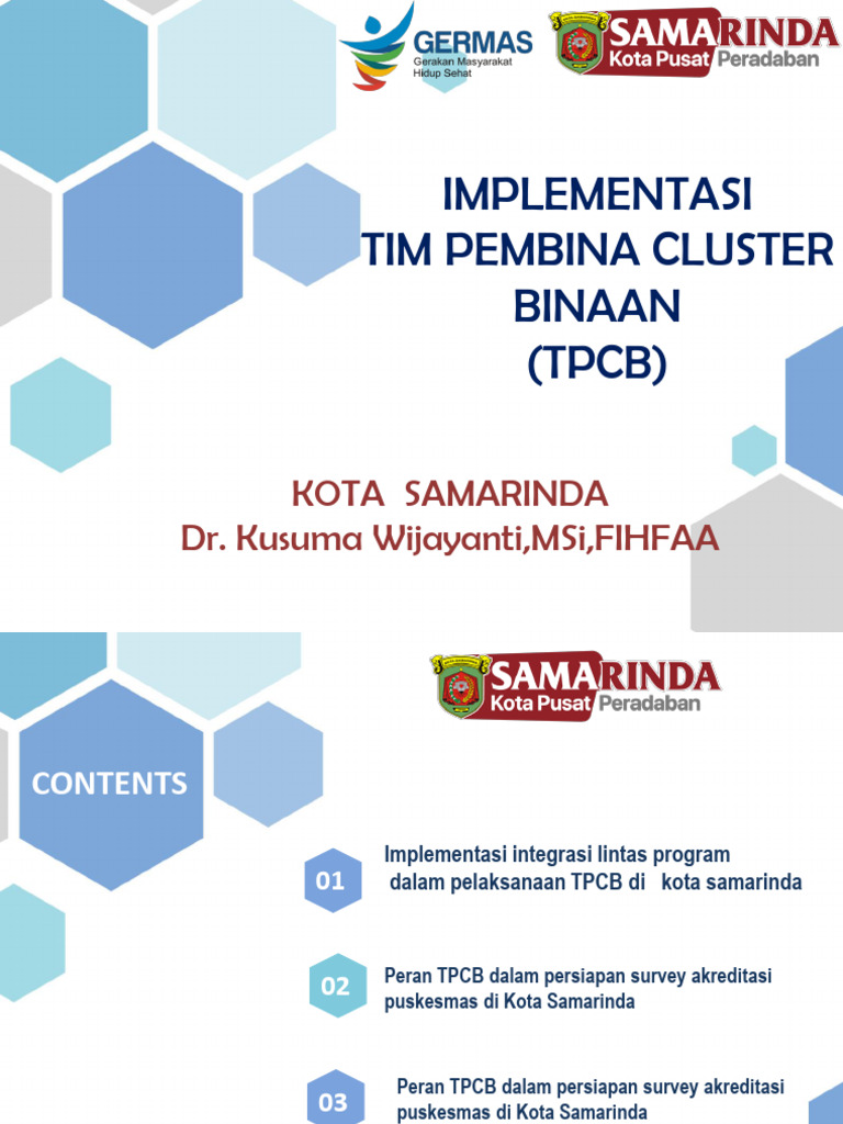 Implementasi TPCB Dinkes Provinsi | PDF