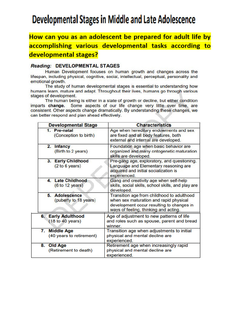 Developmental Stages | PDF