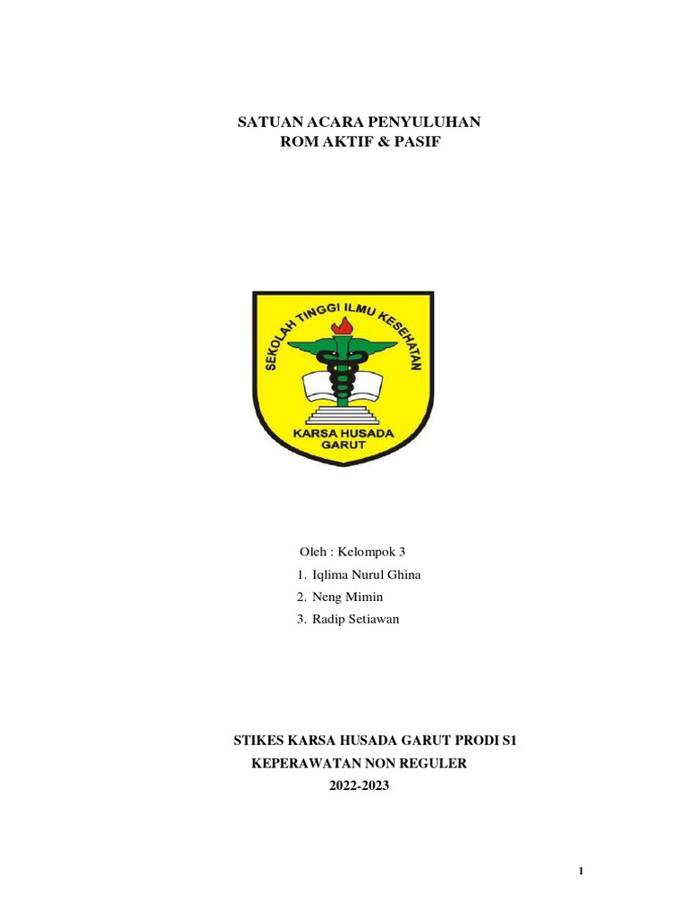 SAP ROM Aktif Dan Pasif Kelompok 4 | PDF
