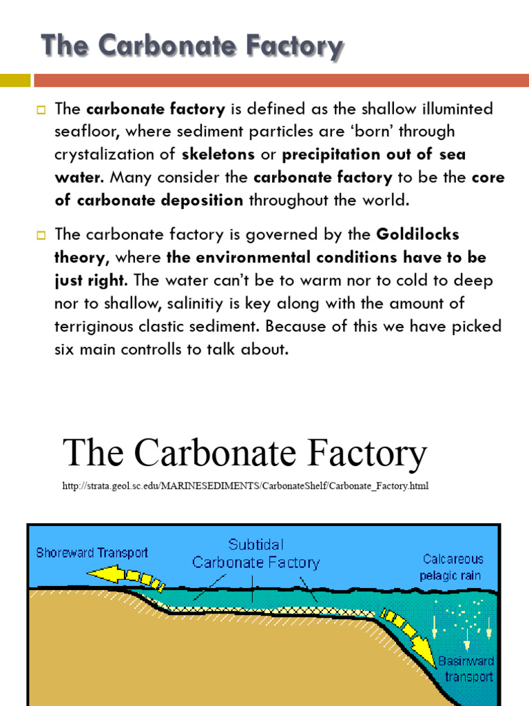 Understanding the Carbonate Factory | PDF
