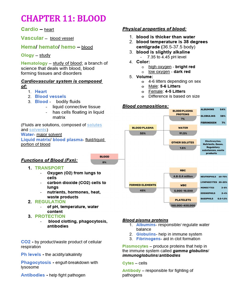 Chapter 11 - Blood | PDF | White Blood Cell | Blood Type